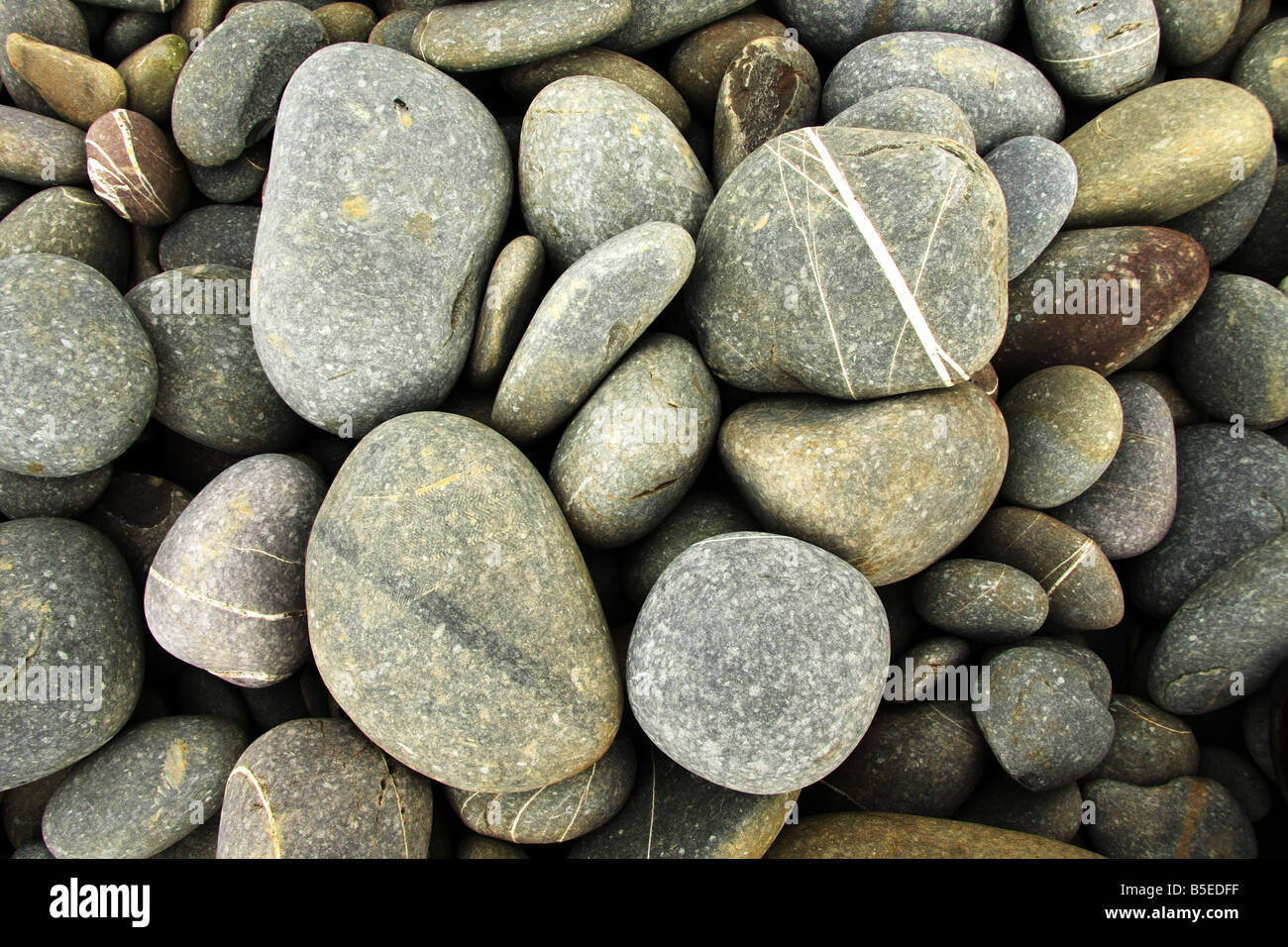 A detailed close up of beach pebbles Stock Photo - Alamy