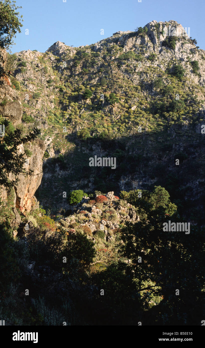Gorge of Therriso Chania province Crete Greece Kreta Griechenland Stock ...