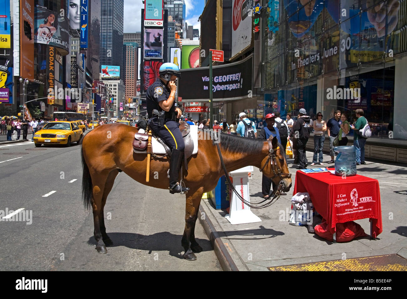 Mounted Police Officer Times Square Midtown Manhattan New York City