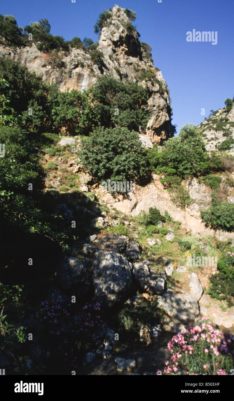 Gorge of Therriso Chania province Crete Greece Kreta Griechenland Stock ...