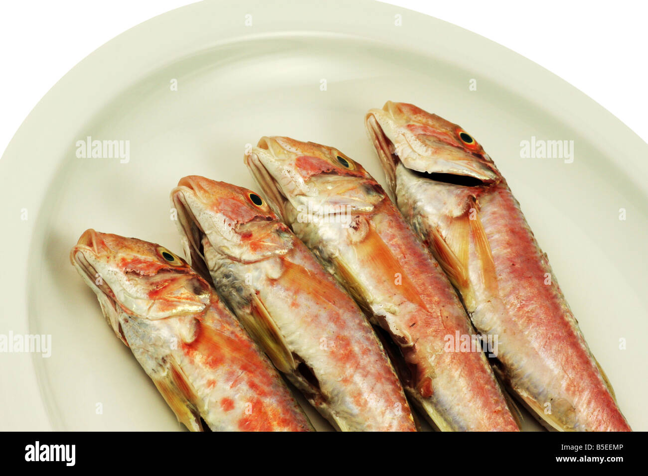 Red mullets on plate Stock Photo - Alamy