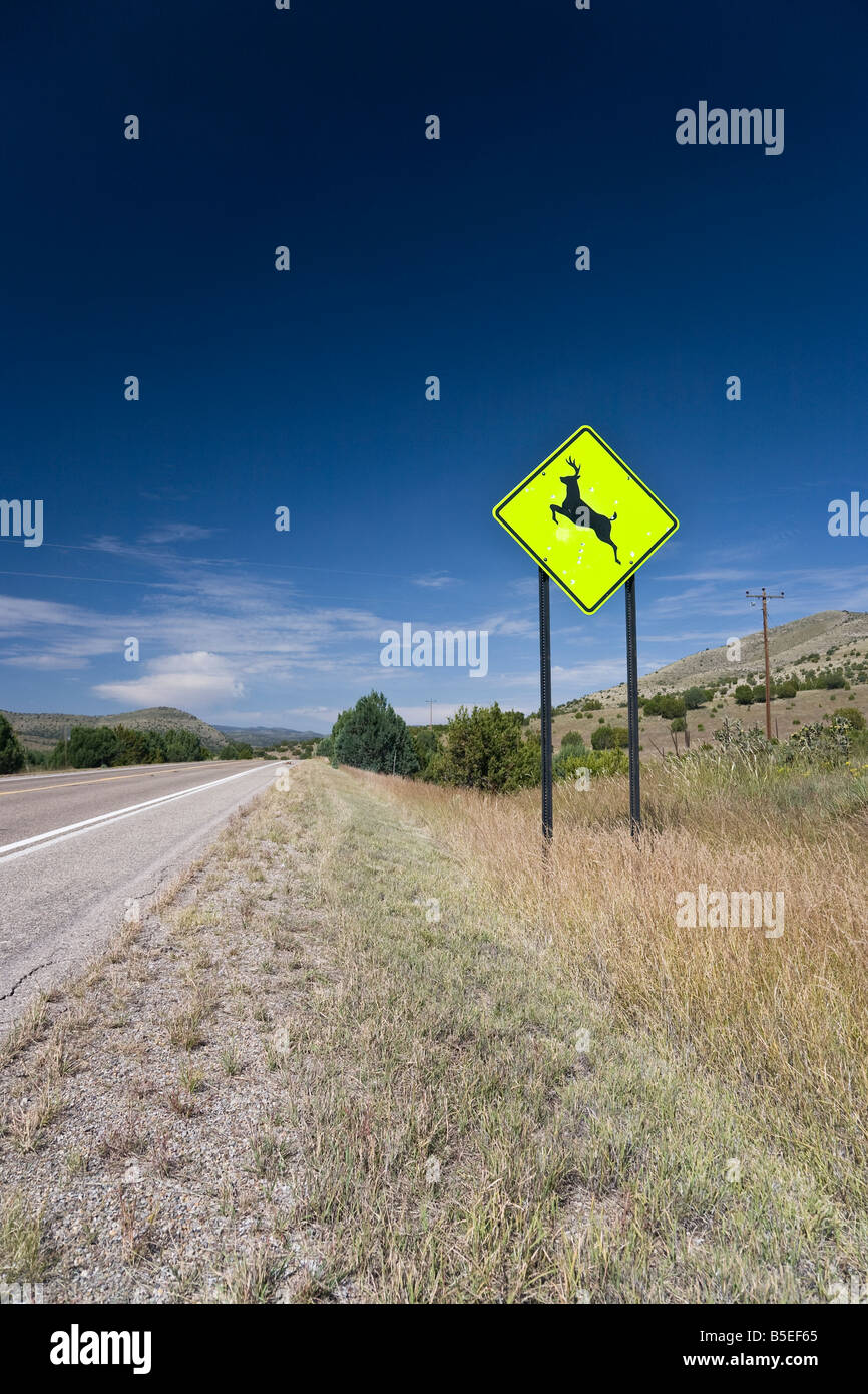 Yellow road sign deer crossing, USA Stock Photo - Alamy