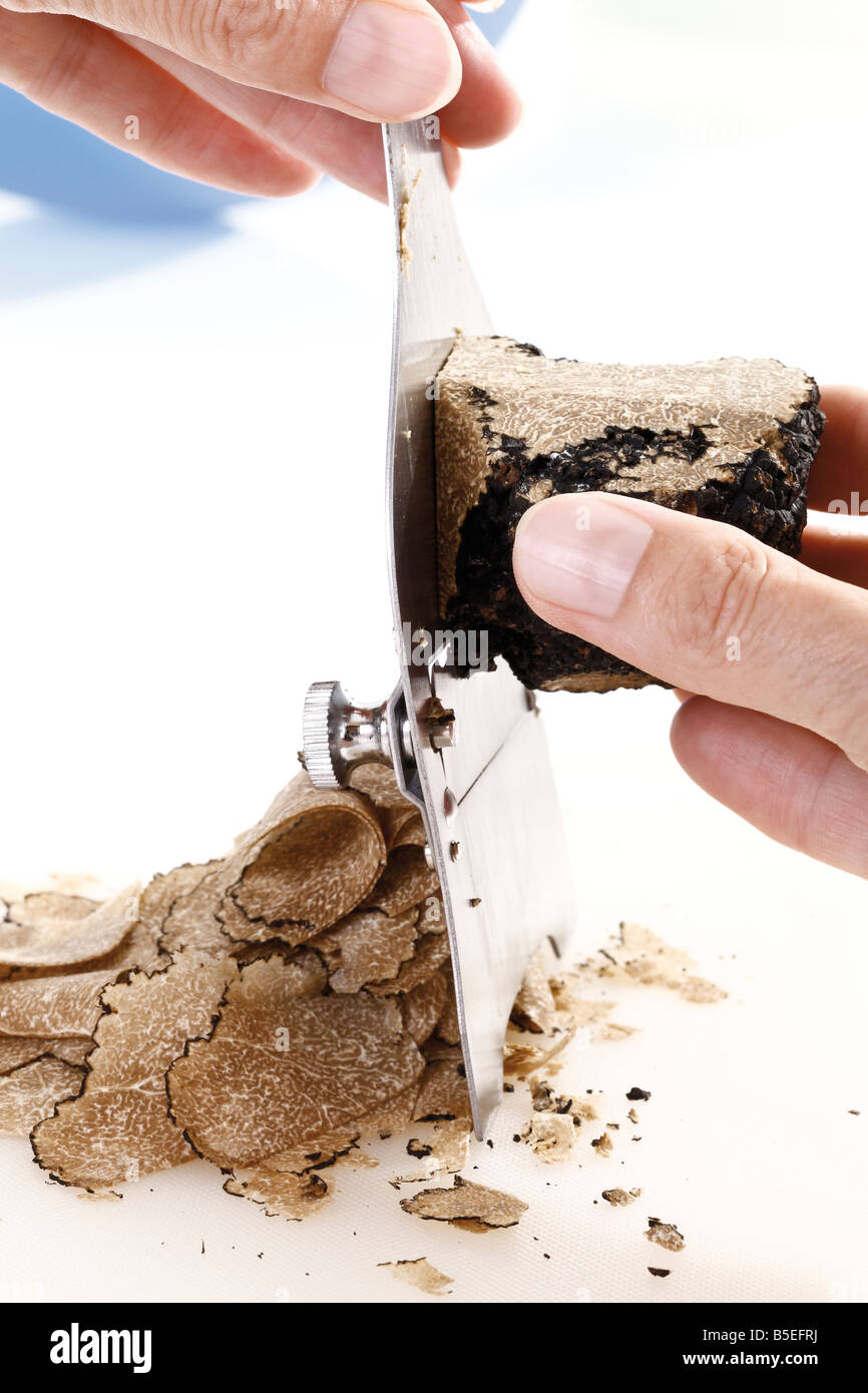 Black truffle being sliced, close-up Stock Photo - Alamy