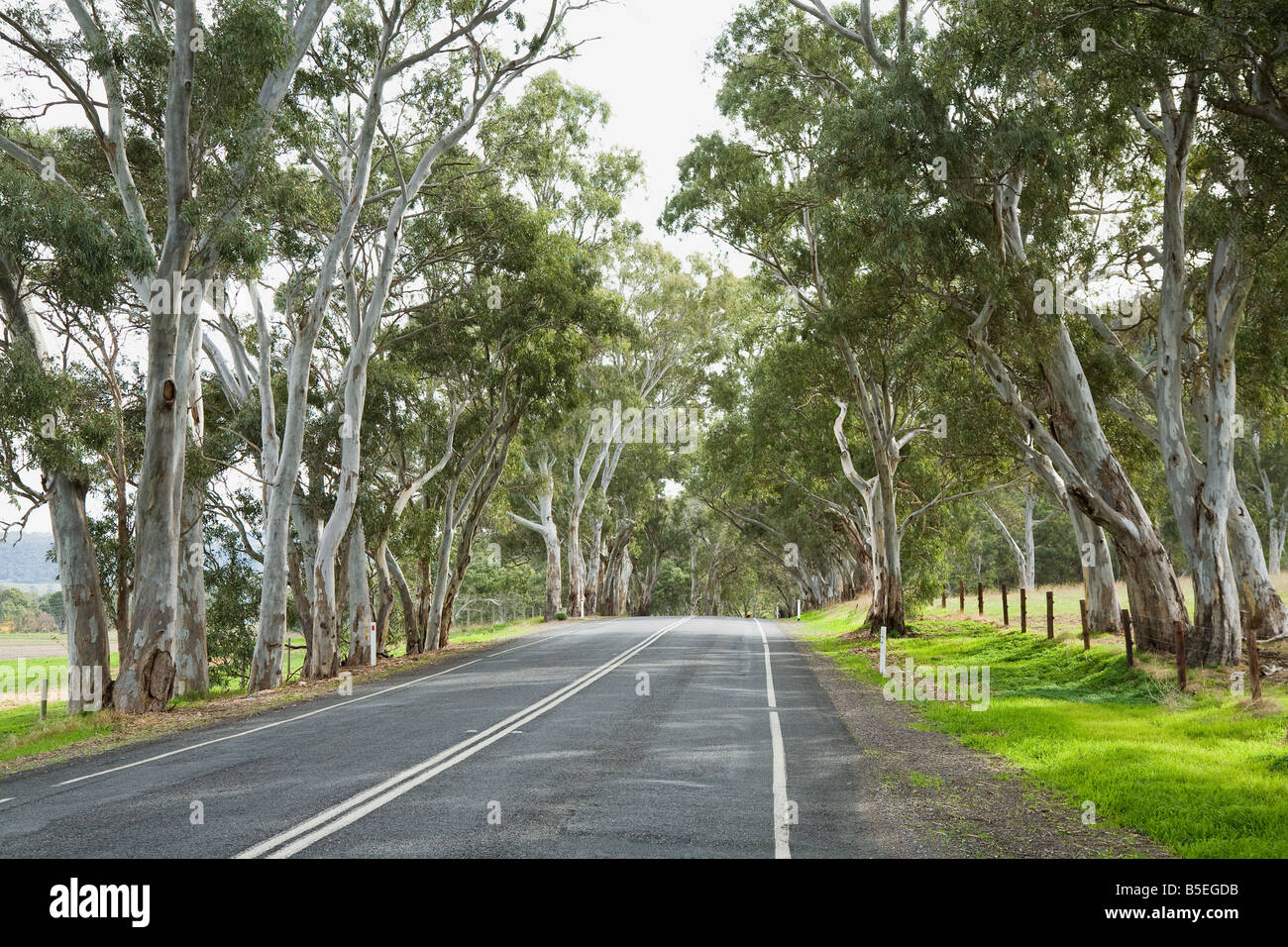Country road Victor Harbour South Australia Stock Photo - Alamy