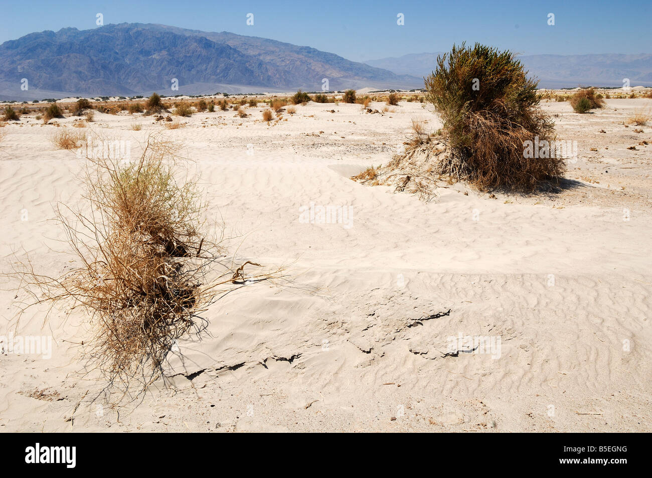 Stovepipe Wells Death Valley Stock Photo - Alamy