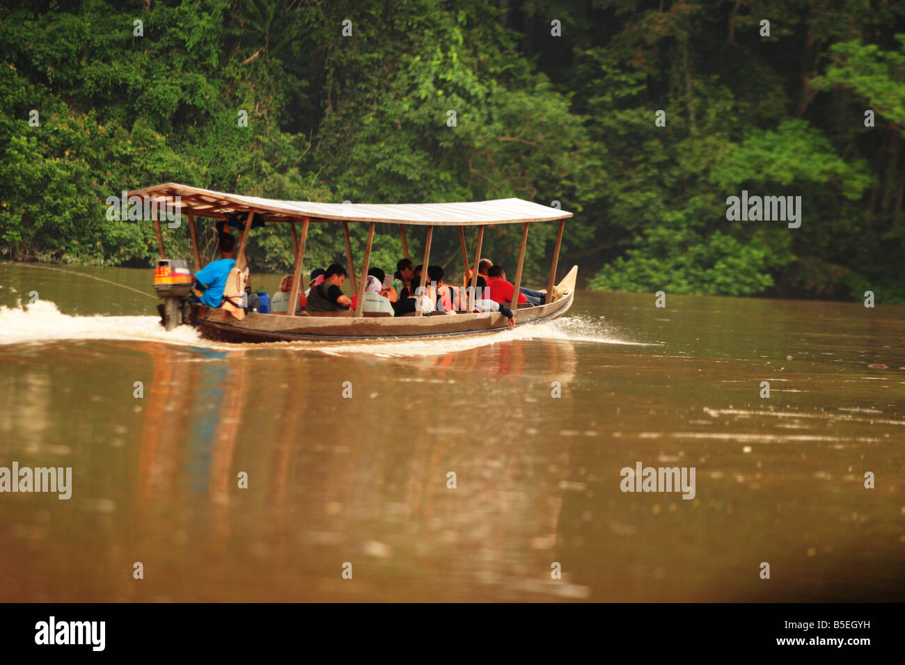 Malaysian Tropical Rainforest at Pahang National Park Stock Photo - Alamy
