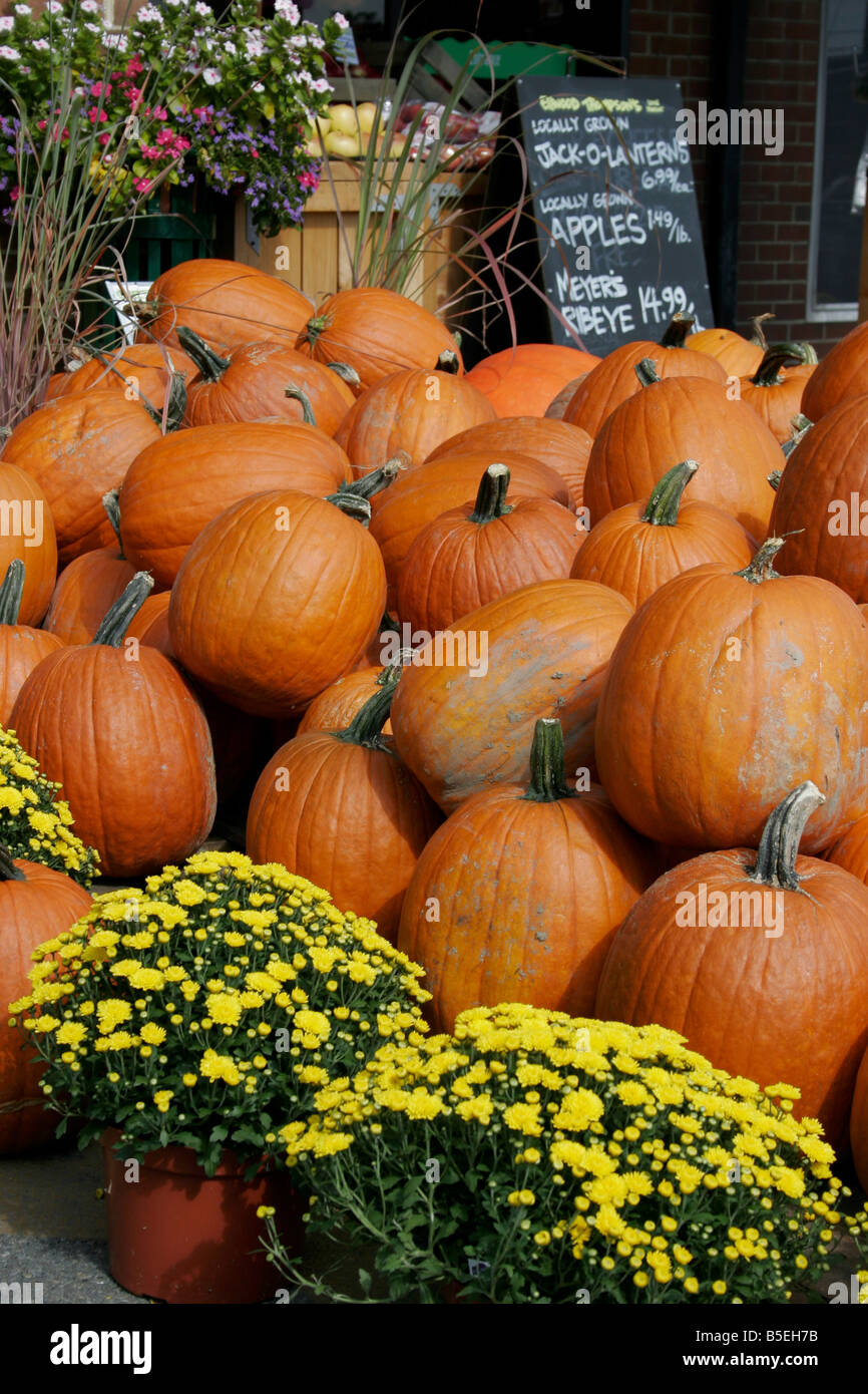 Pumpkins on sale at a market Stock Photo - Alamy