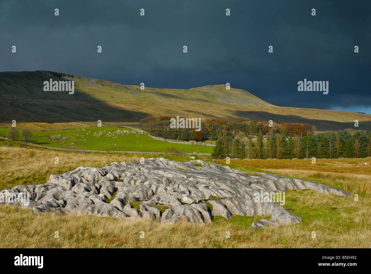 Whernside, highest hill in Yorkshire, from Scales Moor, Ribblesdale ...