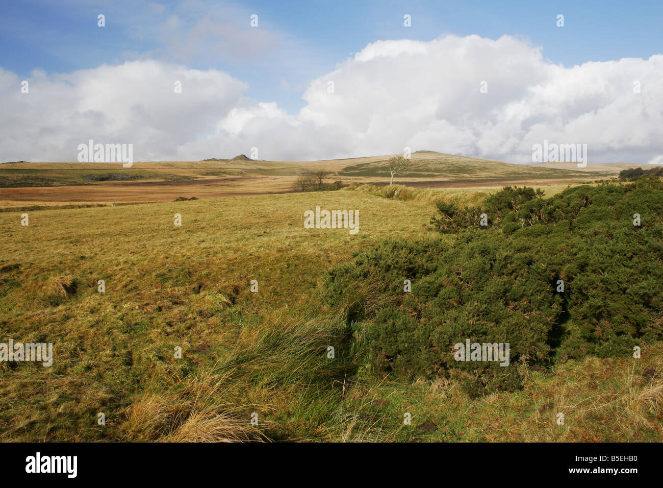 Dartmoor tors hi-res stock photography and images - Alamy