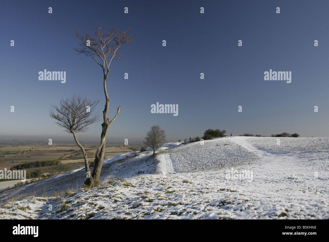 Deacon frost hi-res stock photography and images - Alamy