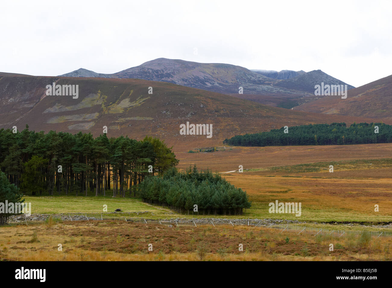 Spittal of Glenmuick to Lochnagar Scotland UK in the autumn Stock Photo ...