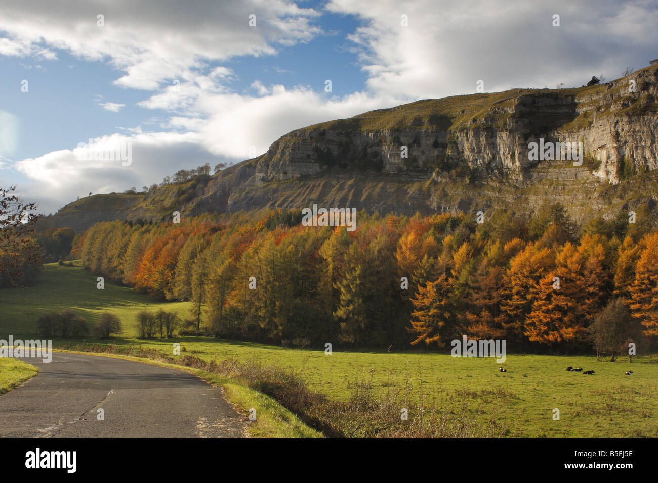 Head scar hi-res stock photography and images - Alamy