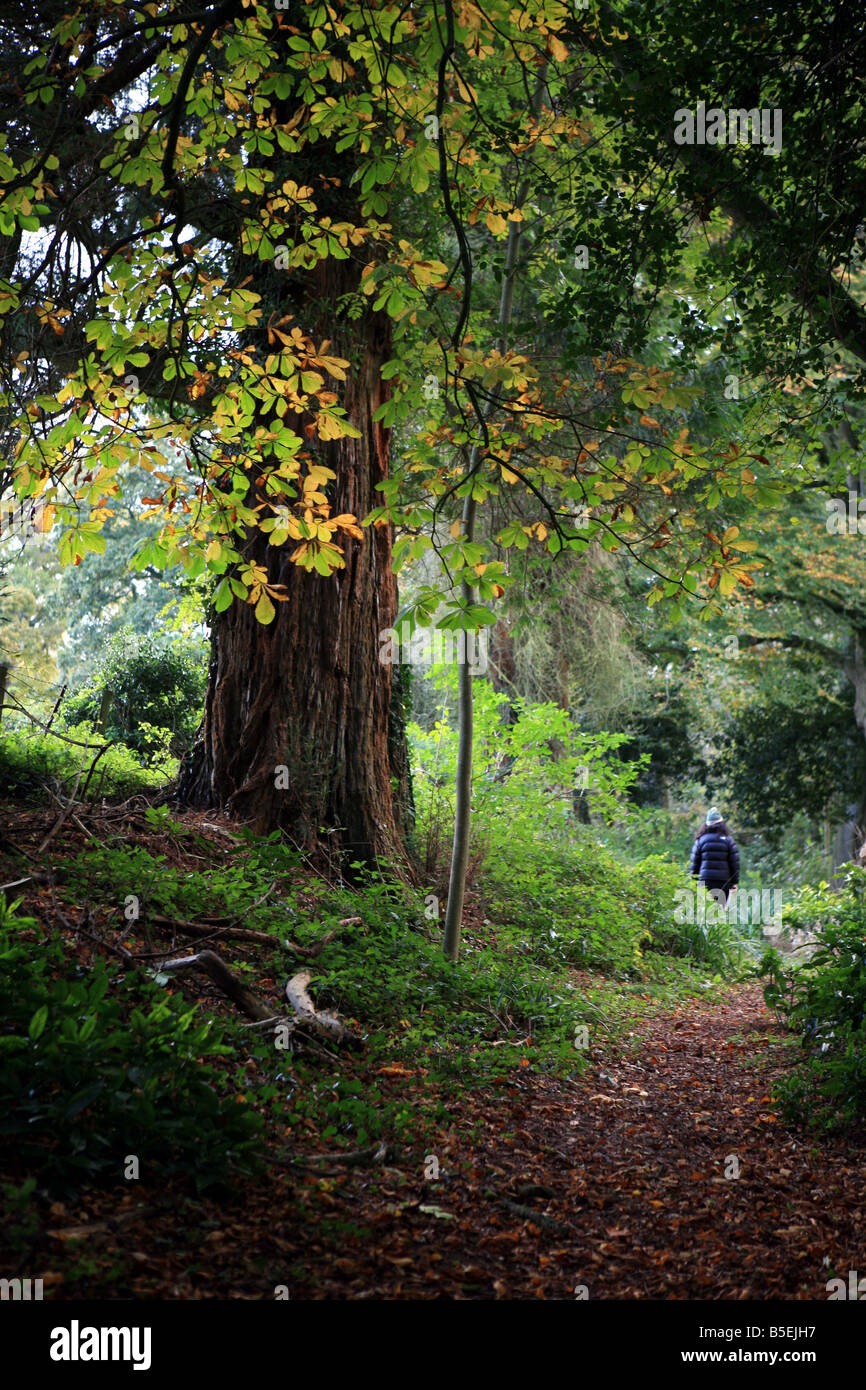 Pencalenick hi-res stock photography and images - Alamy