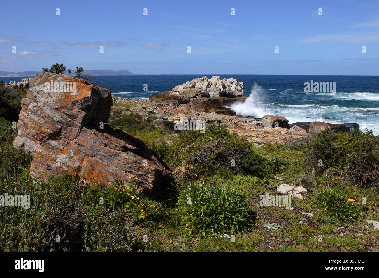 Coast line of Hermanus - South Africa Stock Photo - Alamy