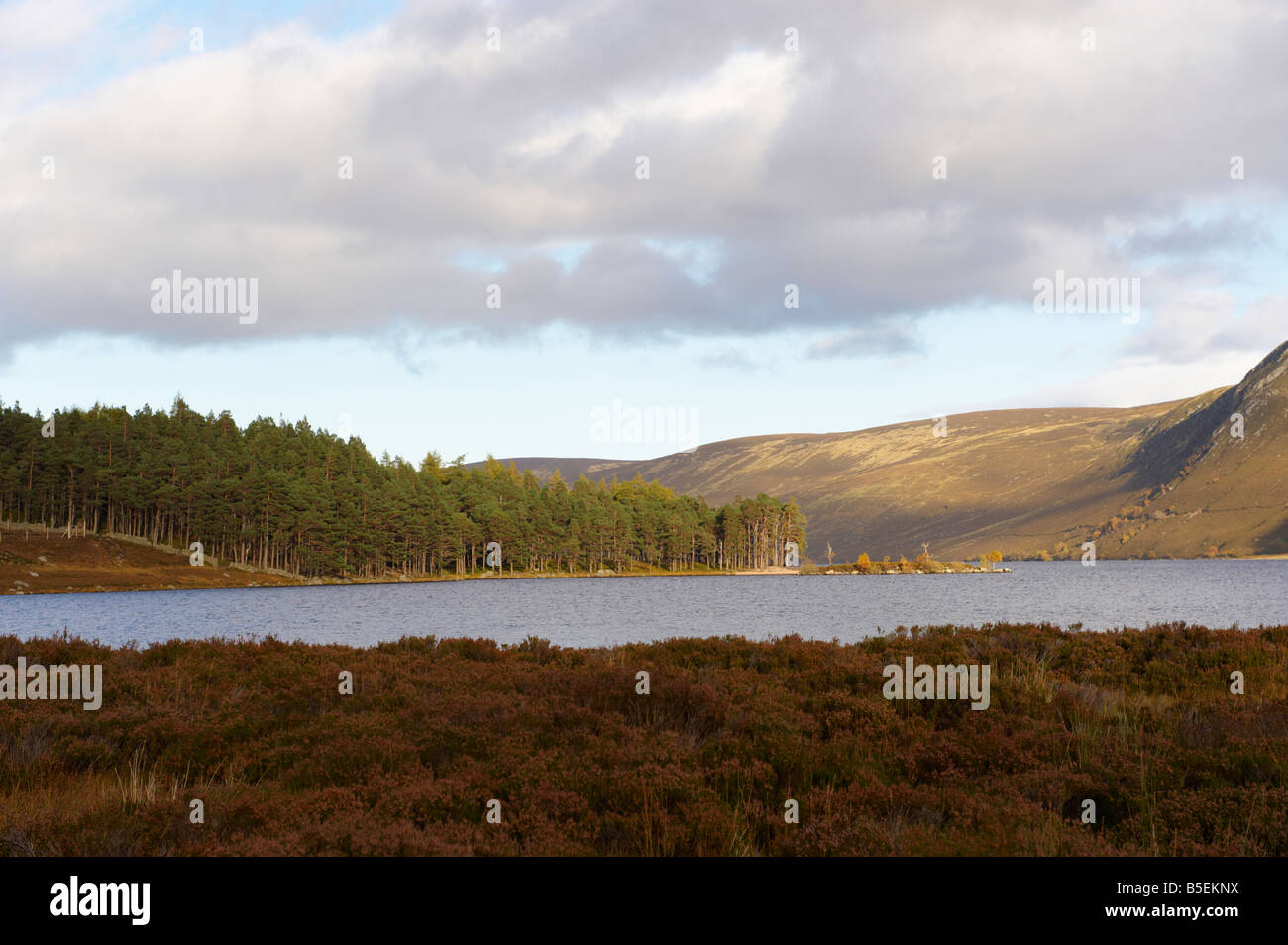 Loch Muick nr Lochnagar Spittal of Glenmuick Cairngorms National Park ...