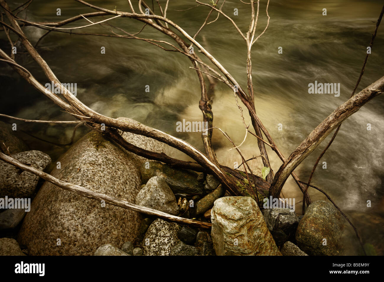 rocks and branches on a riverside Stock Photo - Alamy