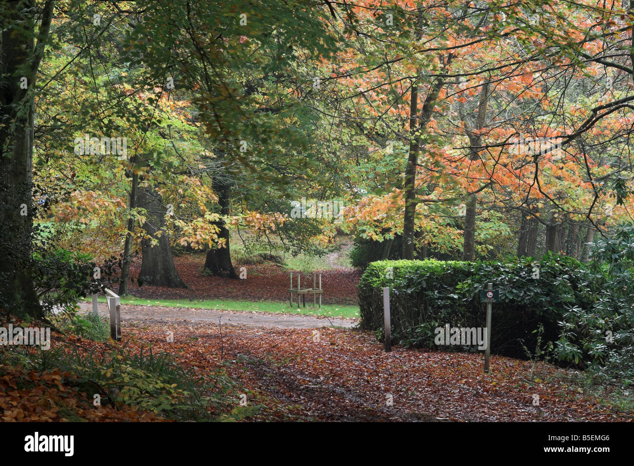 Shearwater longleat estate hi-res stock photography and images - Alamy