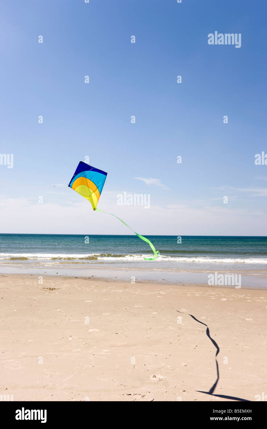 Germany, Baltic sea, Kite flying on beach Stock Photo - Alamy