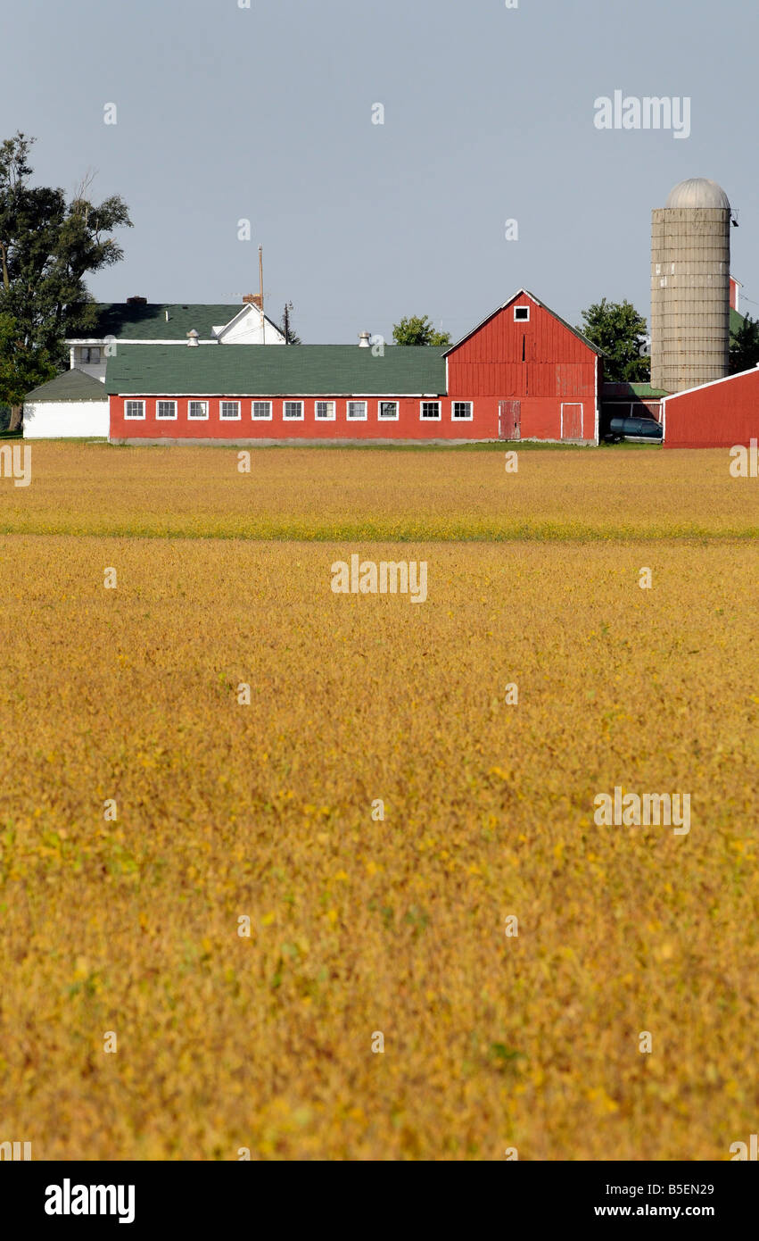 Midwestern farm barn corn hi-res stock photography and images - Alamy