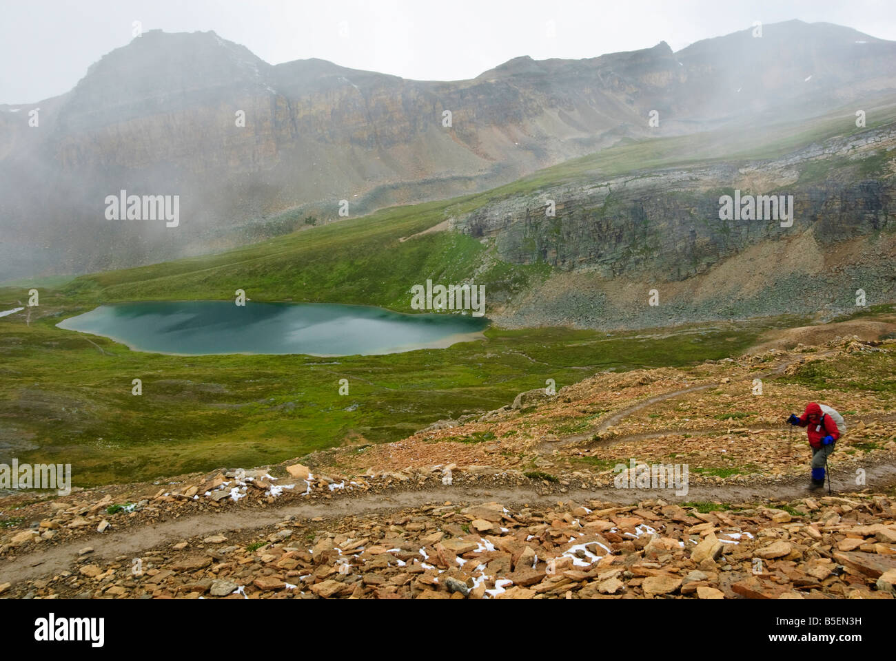 Helen Lake area, Banff National Park, Alberta Canada Stock Photo - Alamy