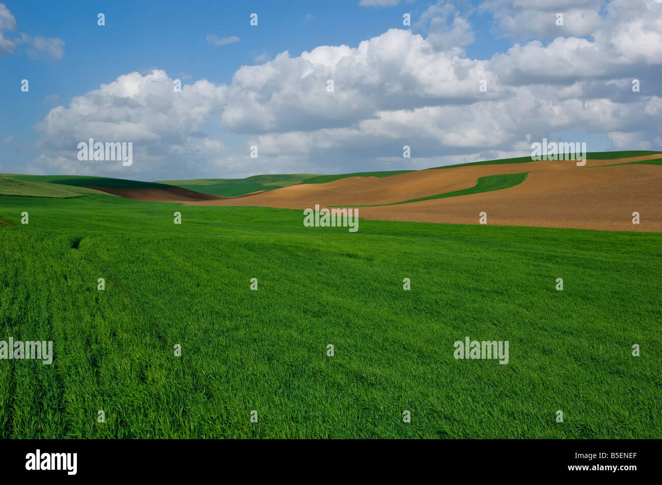 Southeastern washington hi-res stock photography and images - Alamy