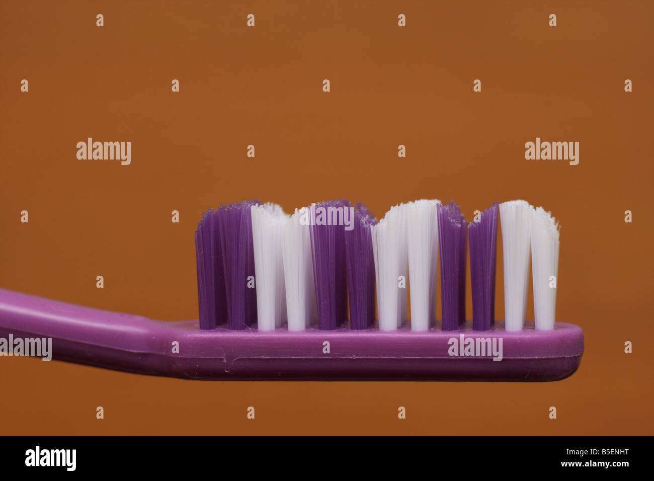 purple plastic toothbrush Stock Photo - Alamy