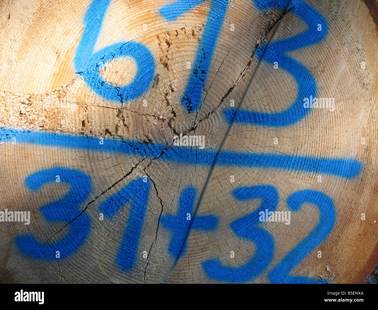 marked tree log Stock Photo - Alamy