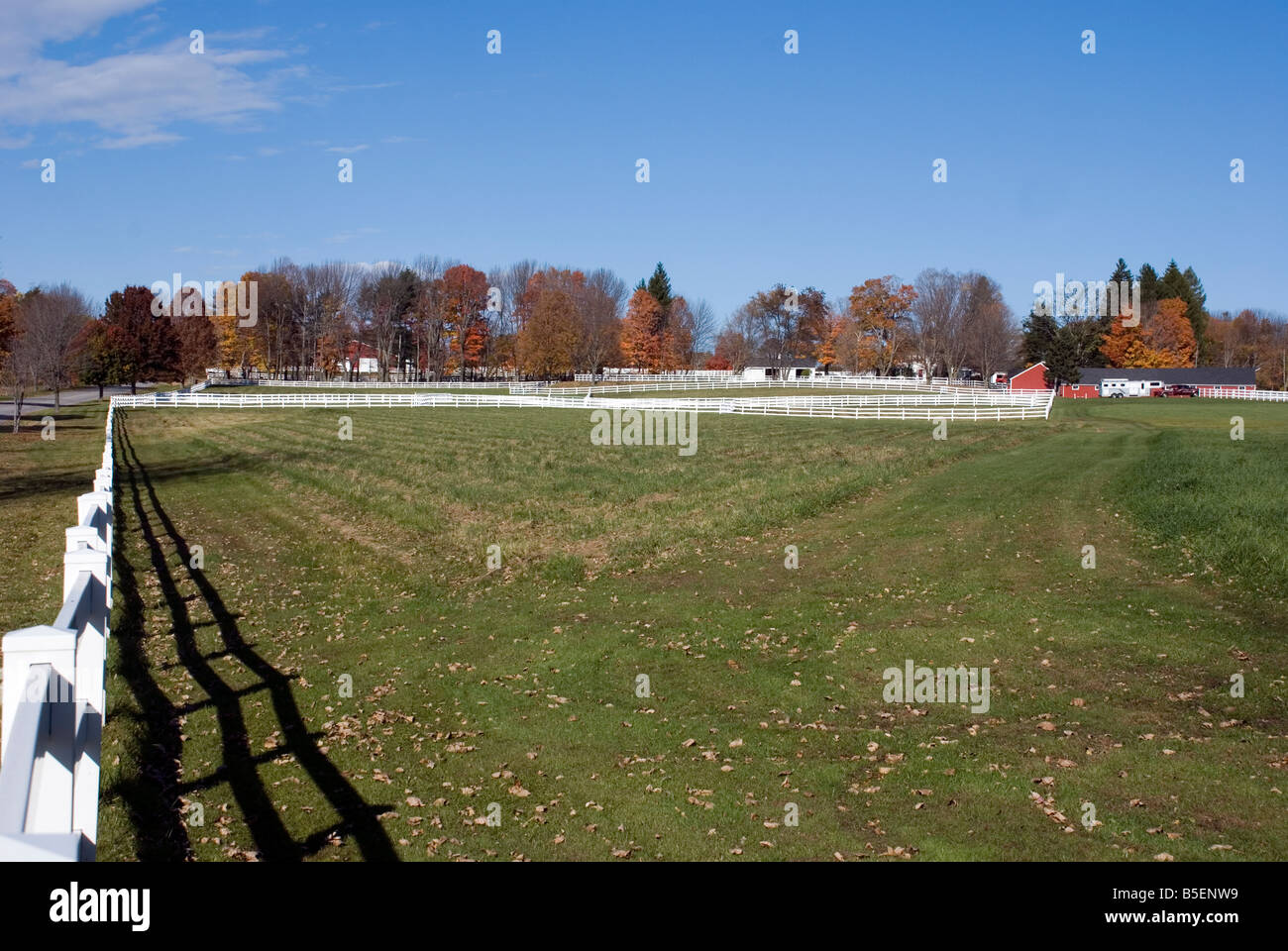 Stud farm, fence hi-res stock photography and images - Alamy