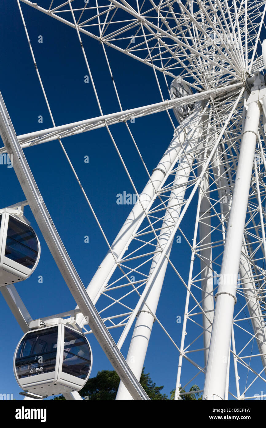 angled view of brisbane's giant ferris wheel Stock Photo - Alamy