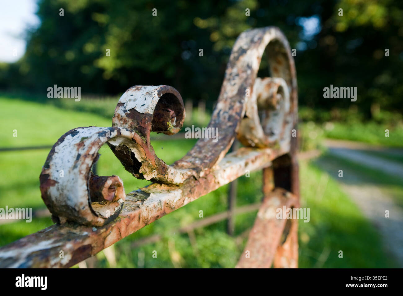 A rusty old gate with flaky paint Stock Photo - Alamy