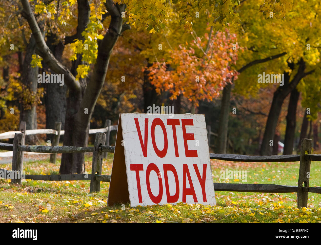 Vote today sign Stock Photo - Alamy