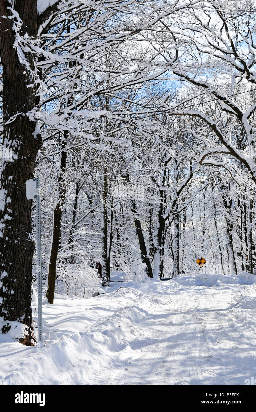 Winter street with lots of snow in Toronto Stock Photo - Alamy