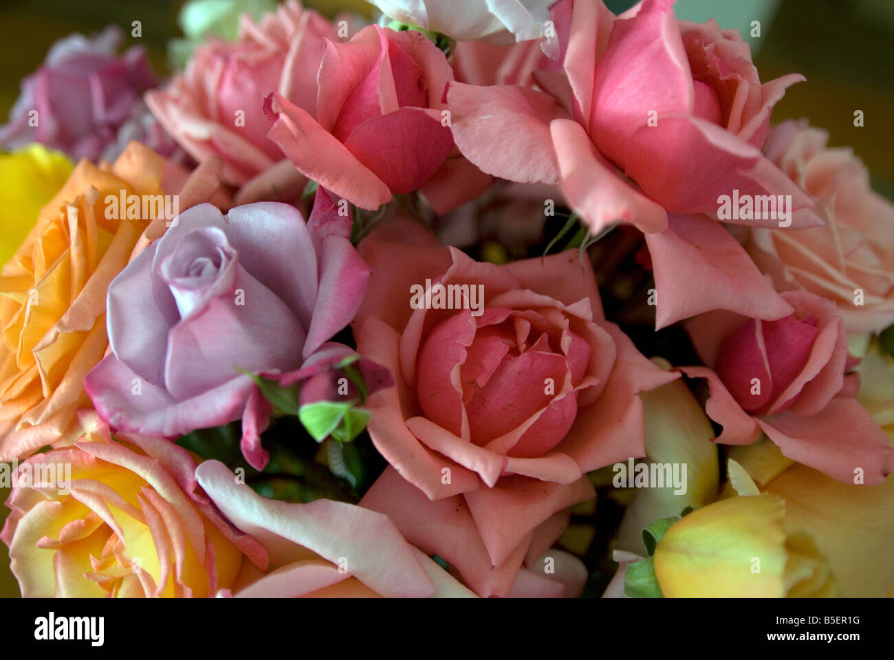 Bouquet of roses in many colours Stock Photo - Alamy