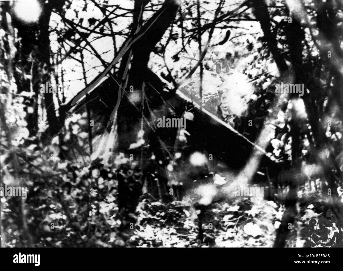 Crime Murder Braybrook Street Massacre 12 August 1966 Three police ...