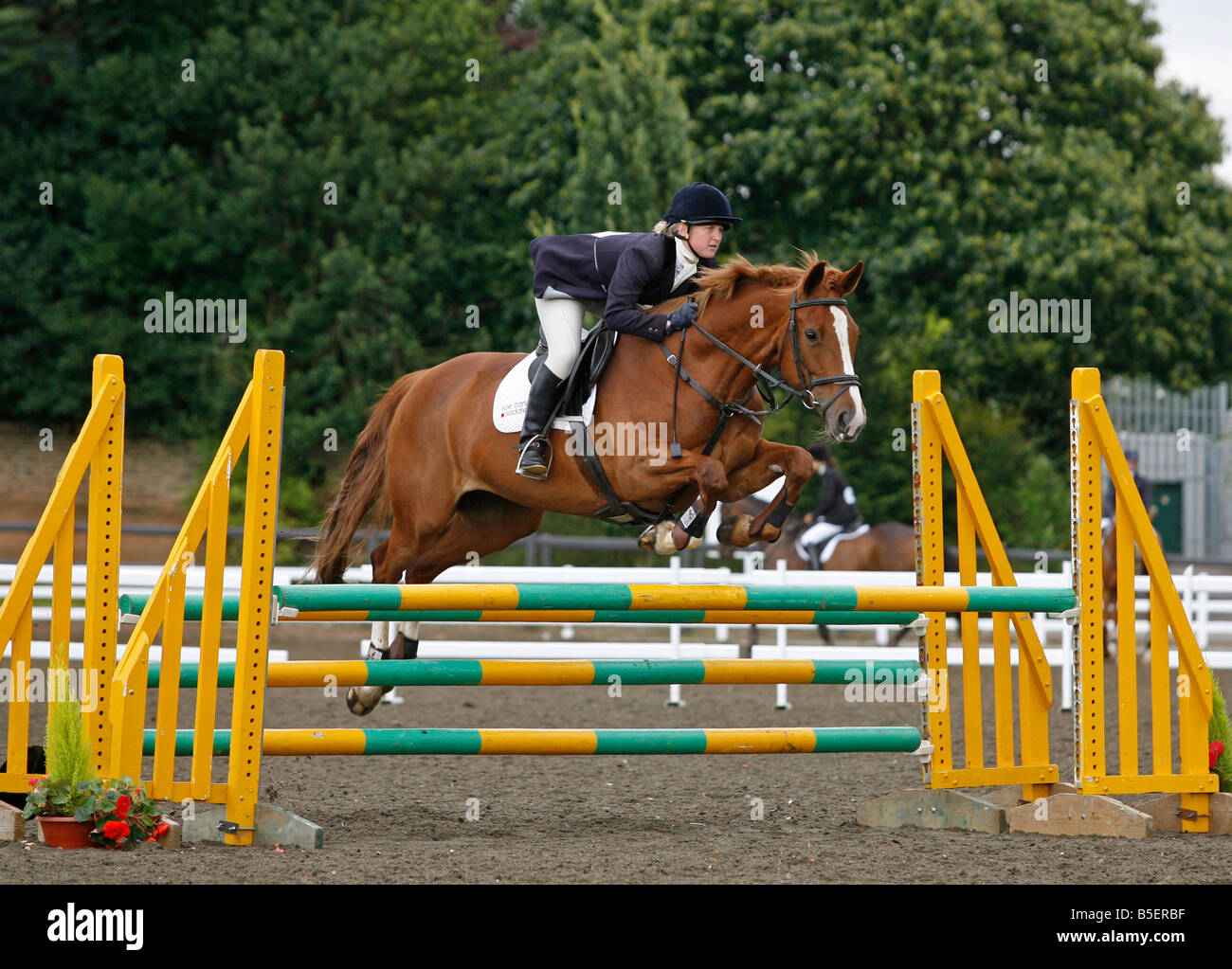 Show jumping hi-res stock photography and images - Alamy