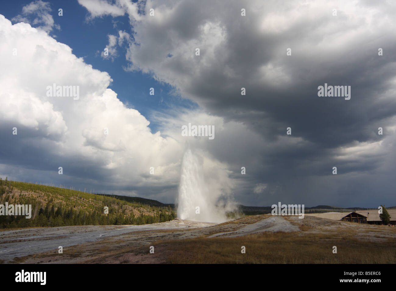 Old faithful erupting yellowstone national park hi-res stock ...