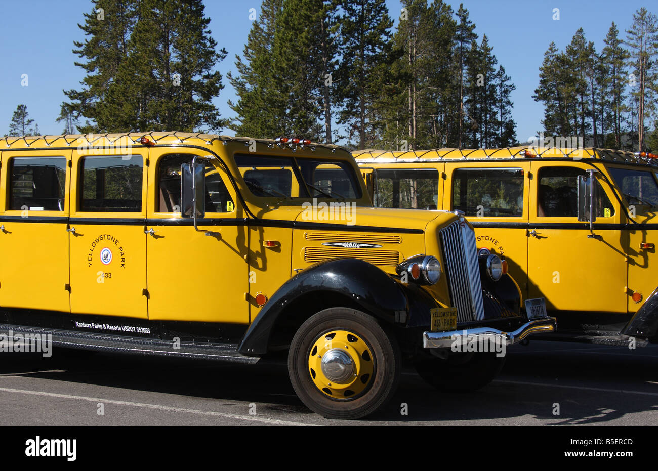 Yellowstone Park tour bus Stock Photo - Alamy
