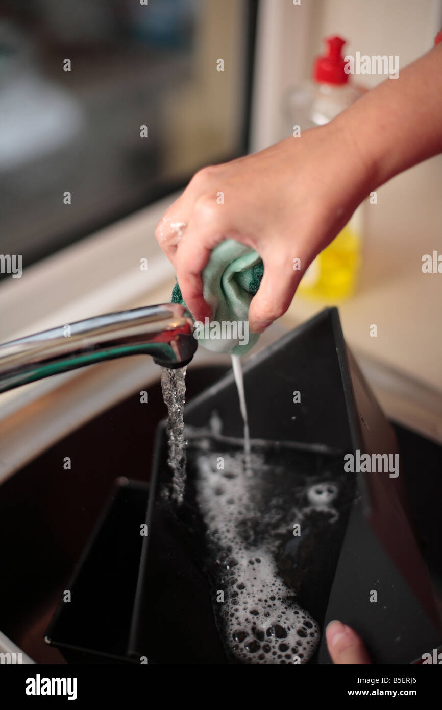 Rinsing sponge hi-res stock photography and images - Alamy