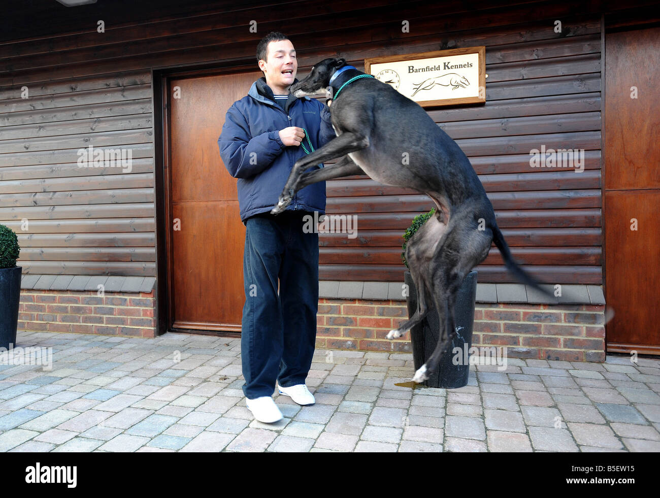BritainsFastest Dog Barnfield on Air at his luxury home in Billericay ...