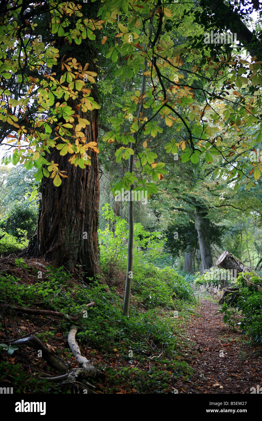 Pencalenick hi-res stock photography and images - Alamy