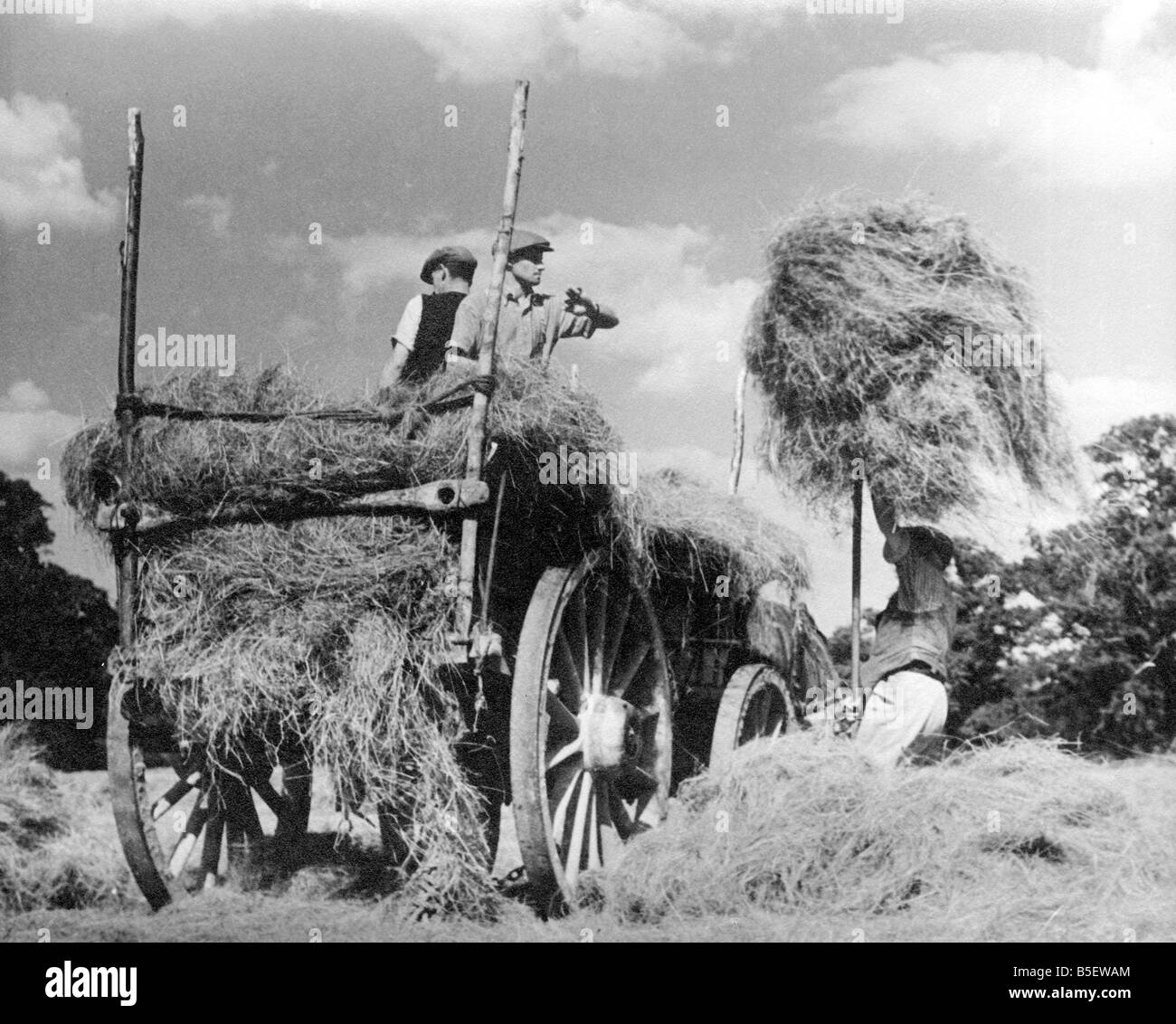 Harvesting 1930s High Resolution Stock Photography and Images - Alamy
