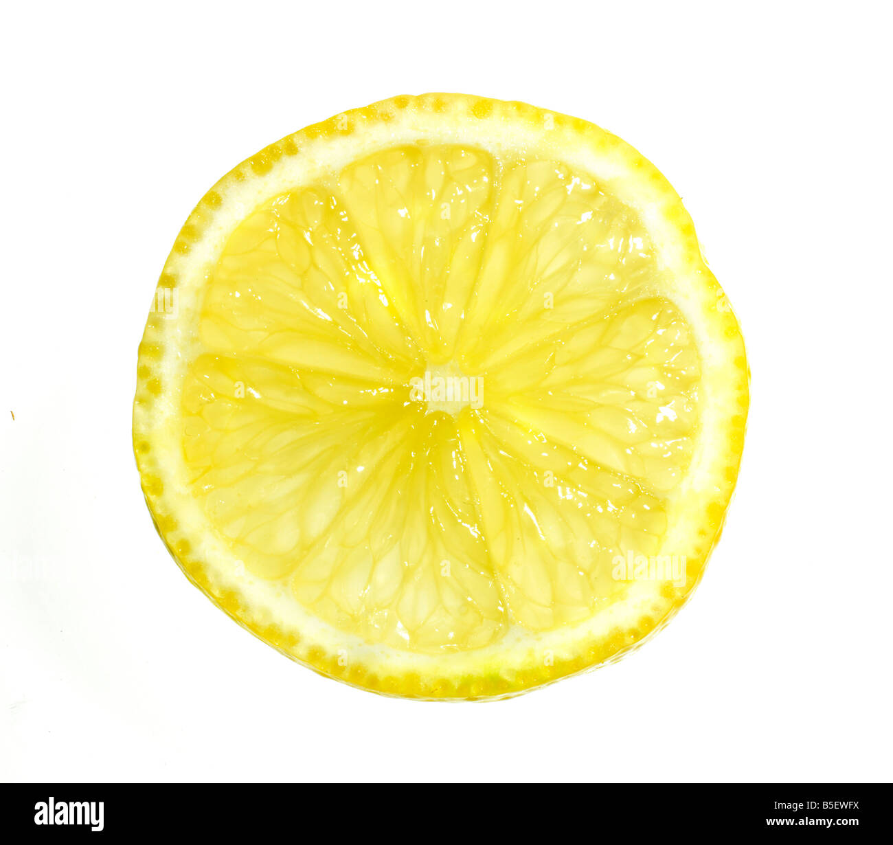 A cross section slice of Lemon against a clean white background Stock ...