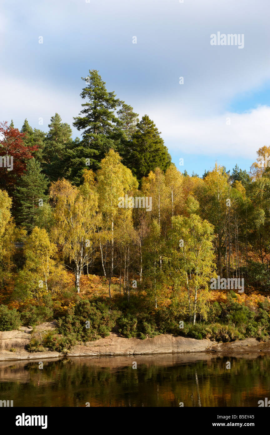 Cambus o' may, river dee scotland hi-res stock photography and images ...