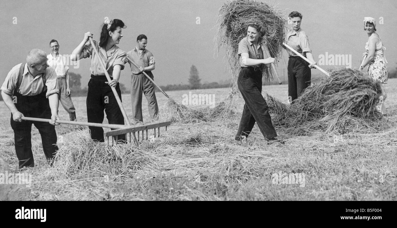 Land army girls gathering the hay in the fields during World War Two ...