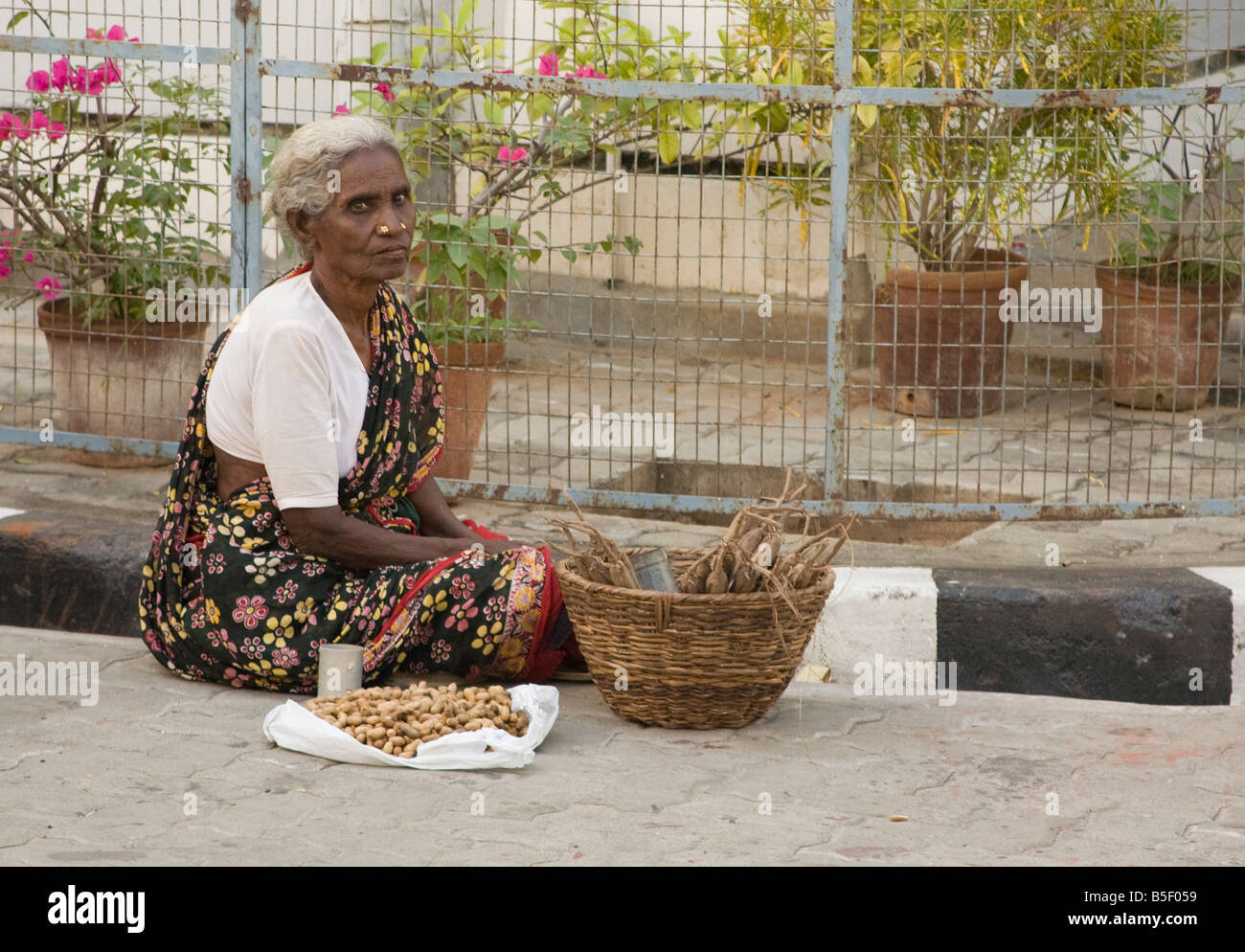 Indian woman selling ginger hi-res stock photography and images - Alamy