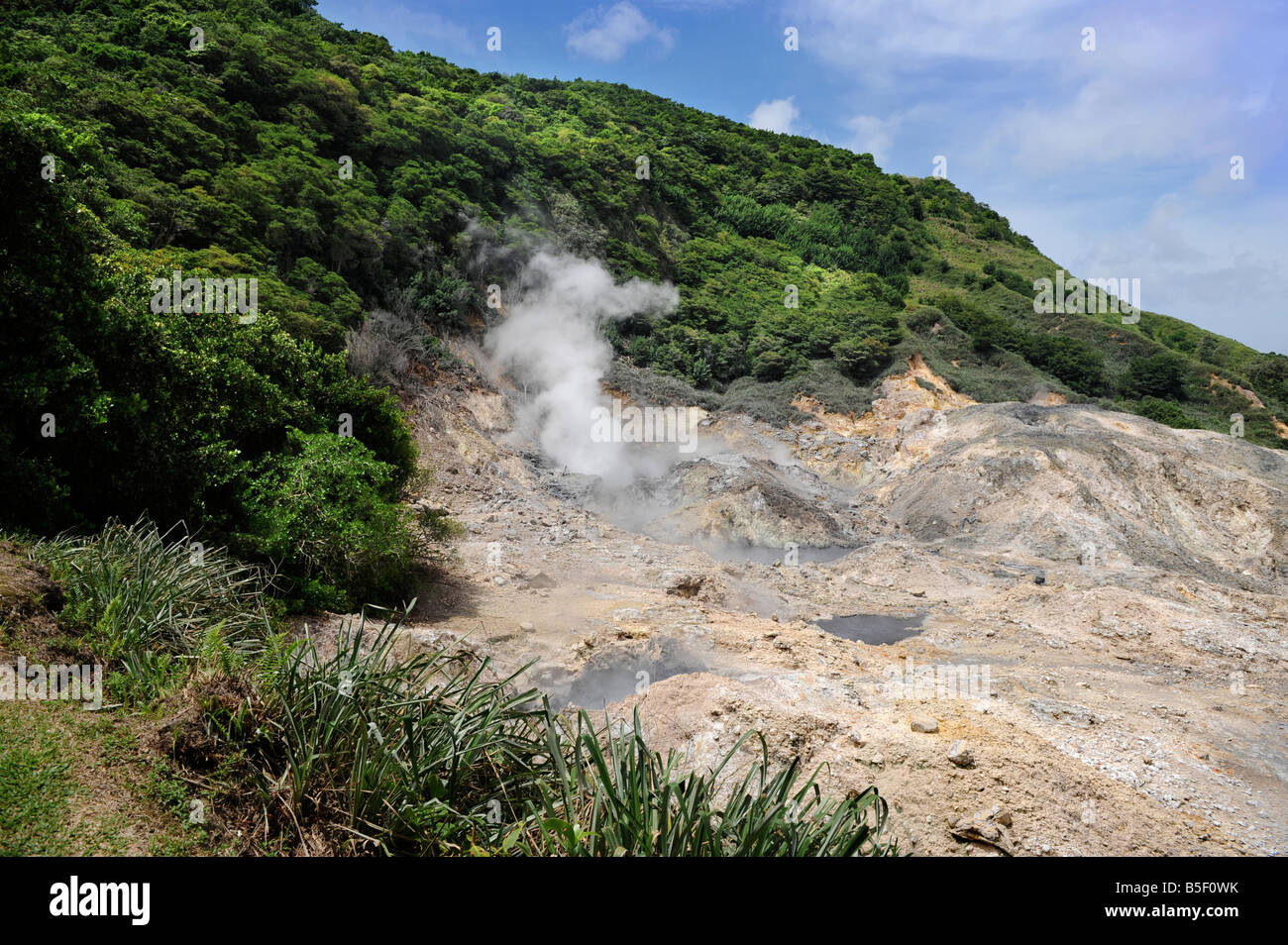 SULPHUR POOLS IN THE CRATER OF MOUNT SOUFRIERE ST LUCIA S DRIVE IN ...