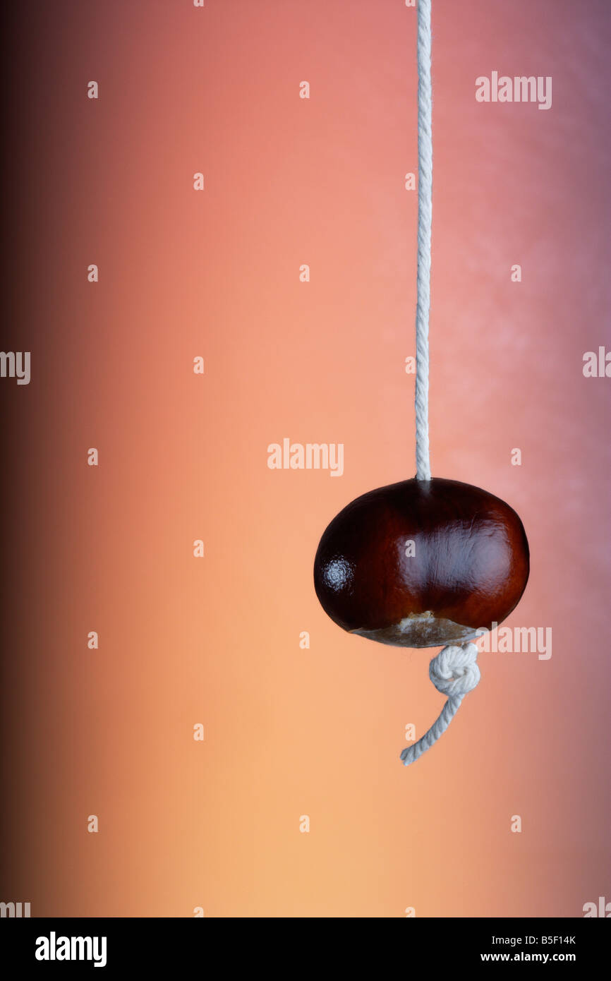 Conker on string hi-res stock photography and images - Alamy