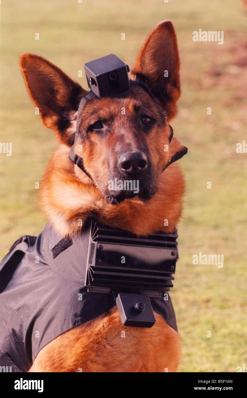 1990s camera hi-res stock photography and images - Alamy