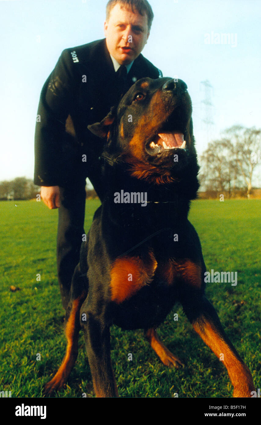 Newly trained police dog Ben a 15 month old rottweiler with handler ...