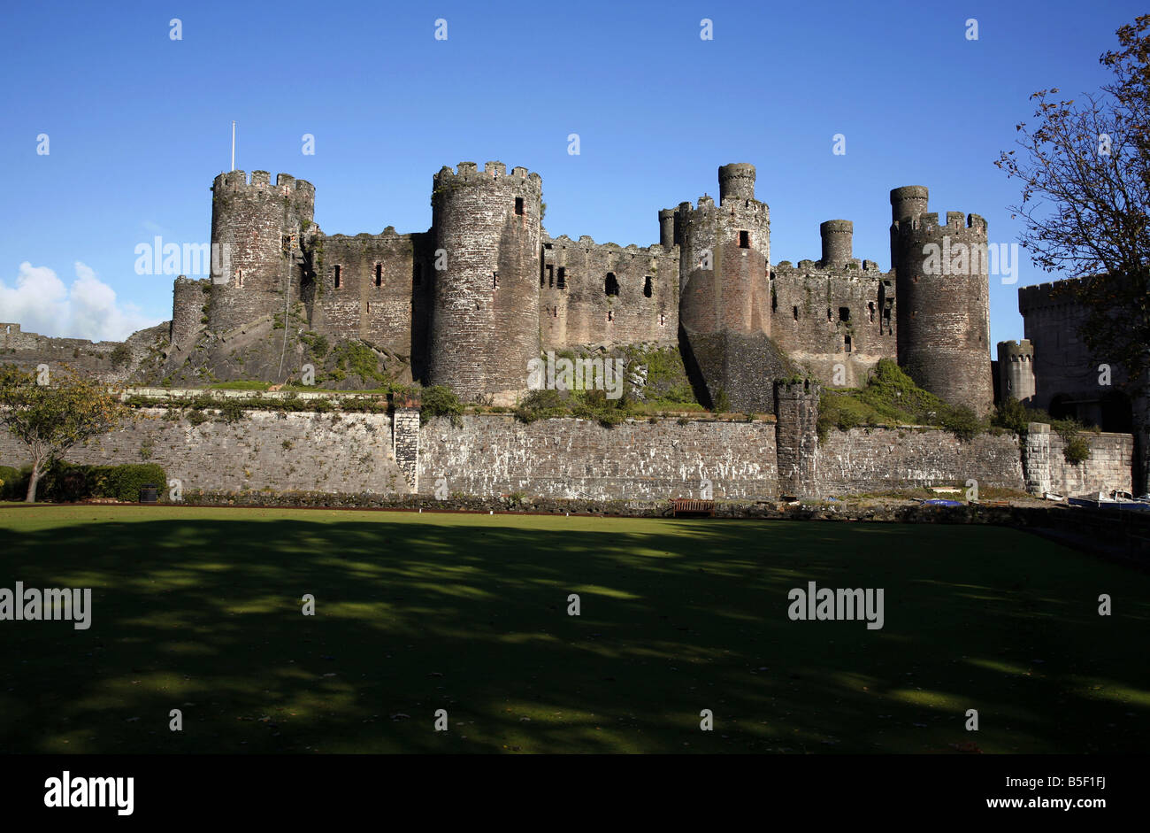 Massive Conwy Castle, built by King Edward 1st, at defensive point ...